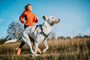 MBP - Milk Basic Protein