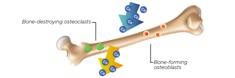 MBP - Milk Basic Protein
